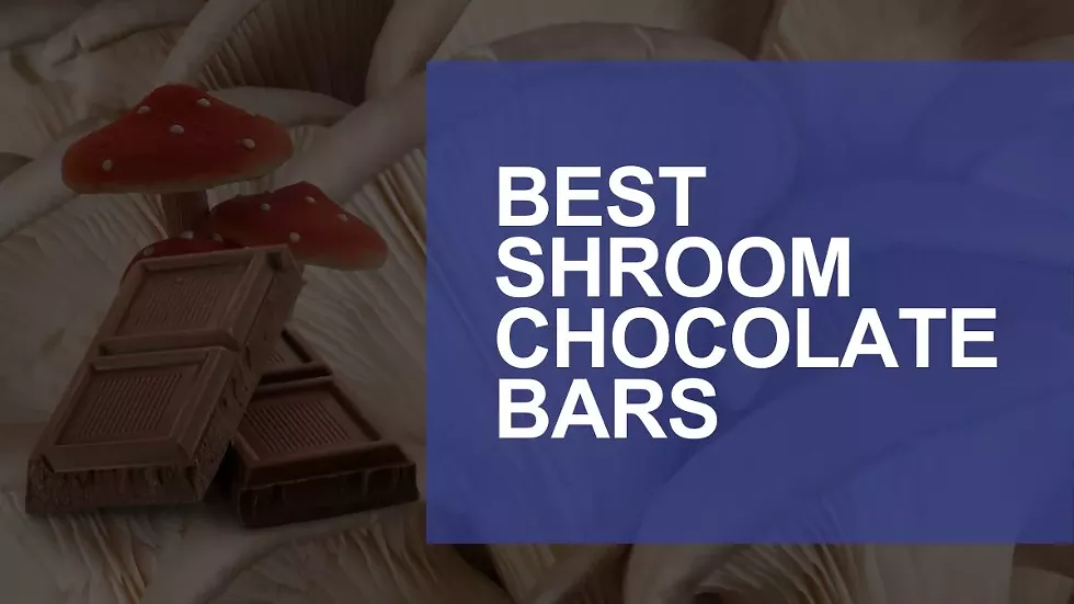 Best Shroom Chocolate Bars: Top Brands with Amazing Aromas
