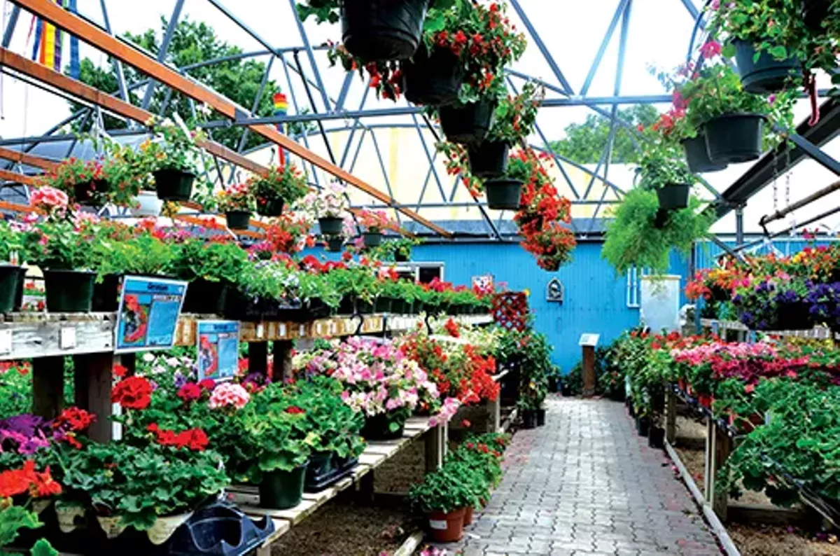 Best Plant Nursery 2017 | Shopping | San Antonio